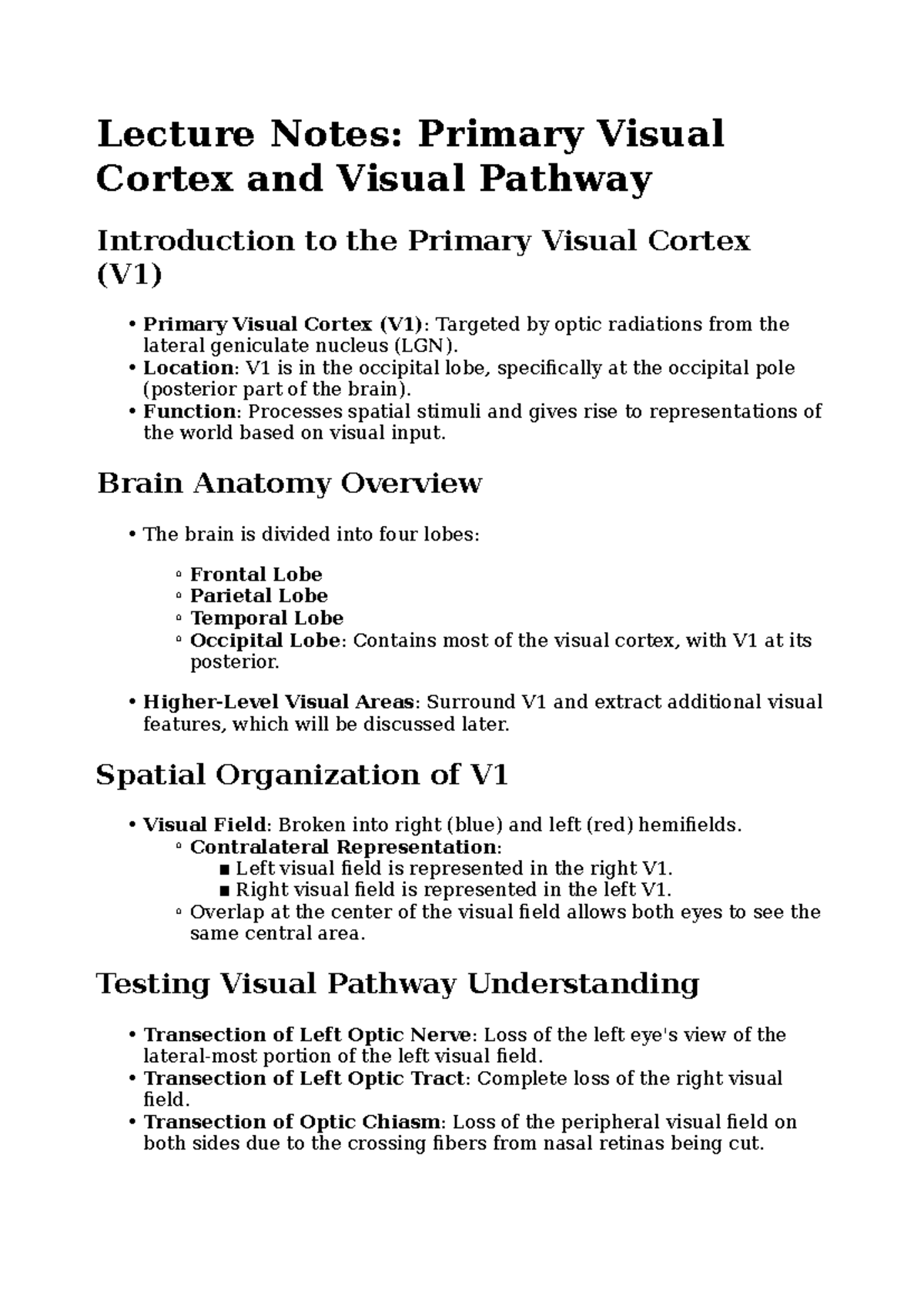 Cognitive Neuroscience 101: Primary Visual Cortex Lecture Notes - Studocu