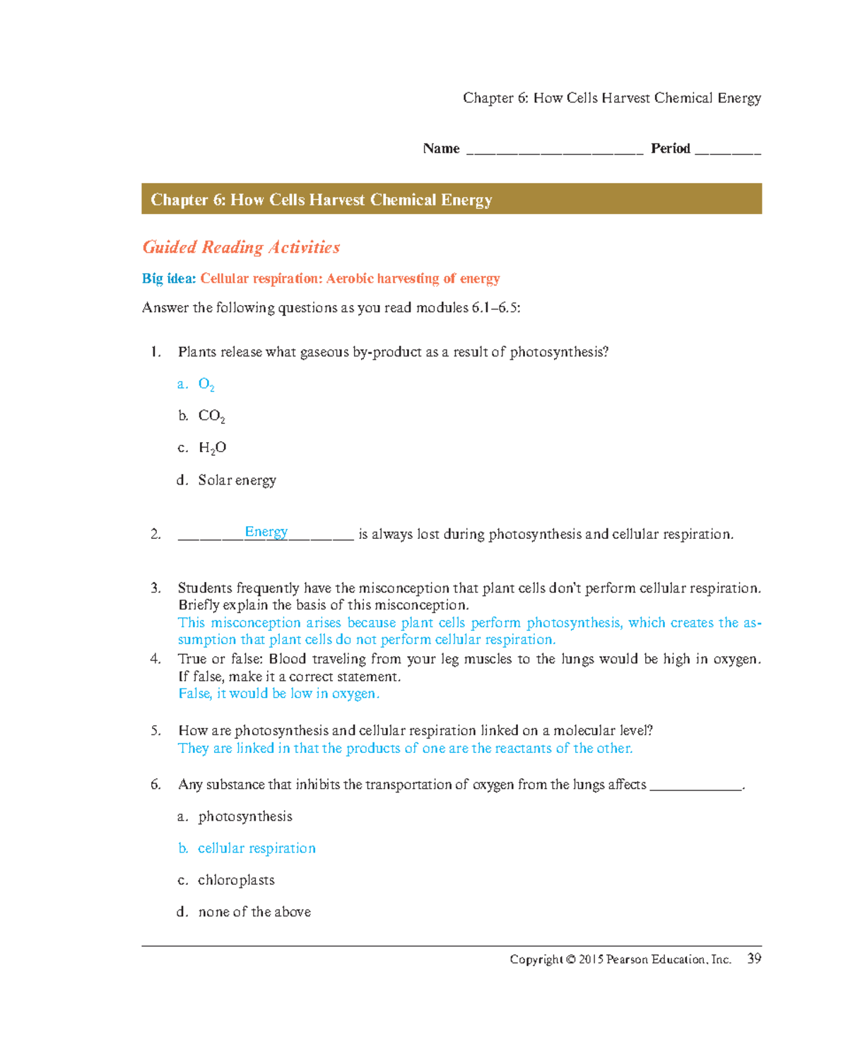 06 Guided Reading Activity Answers: Cellular Respiration Insights - Studocu