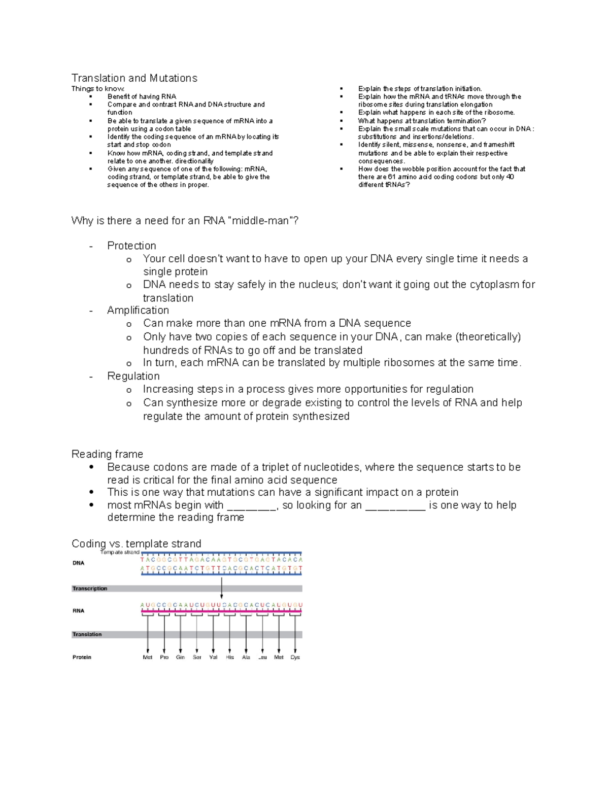 Translation and Mutations Notes for Biology 101 - Study Guide - Studocu