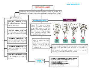 Código mater - TRIAGE OBSTÉTRICO, CÓDIGO MATER Y EQUIPO DE RESPUESTA ...