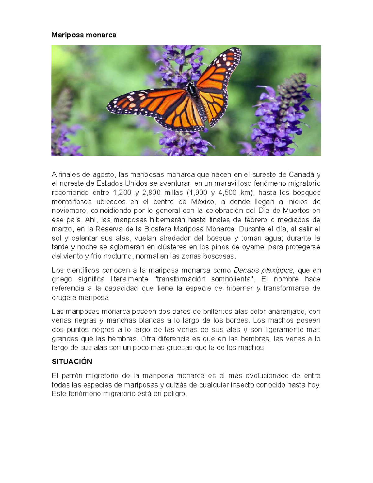 La Mariposa Monarca: Migración y Amenazas Ambientales - Studocu