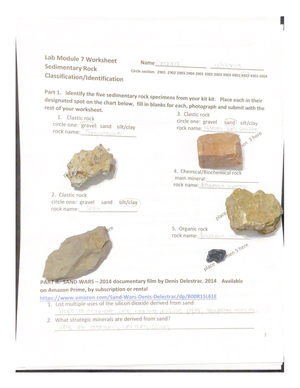 Lab Module 5 Worksheet - Lab Module 5 Worksheet Name Dearna Williams ...