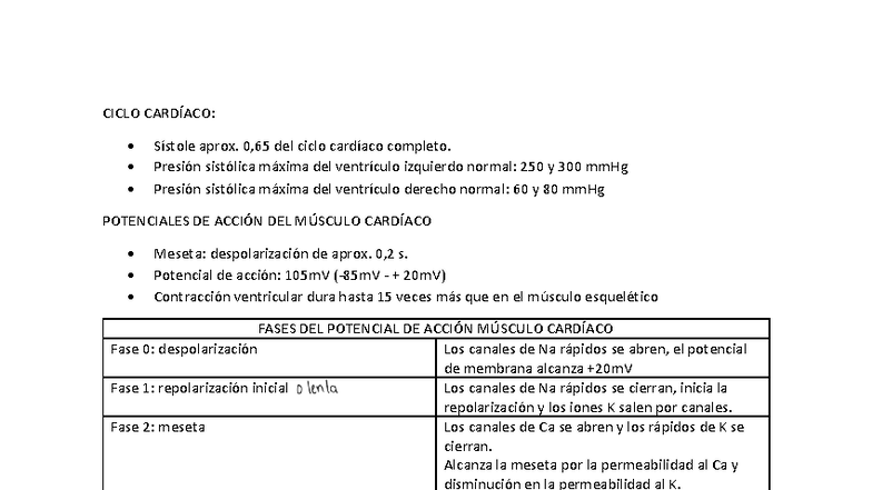 Guía 1ERP: Ciclo Cardíaco y Potenciales de Acción Cardíacos - Studocu