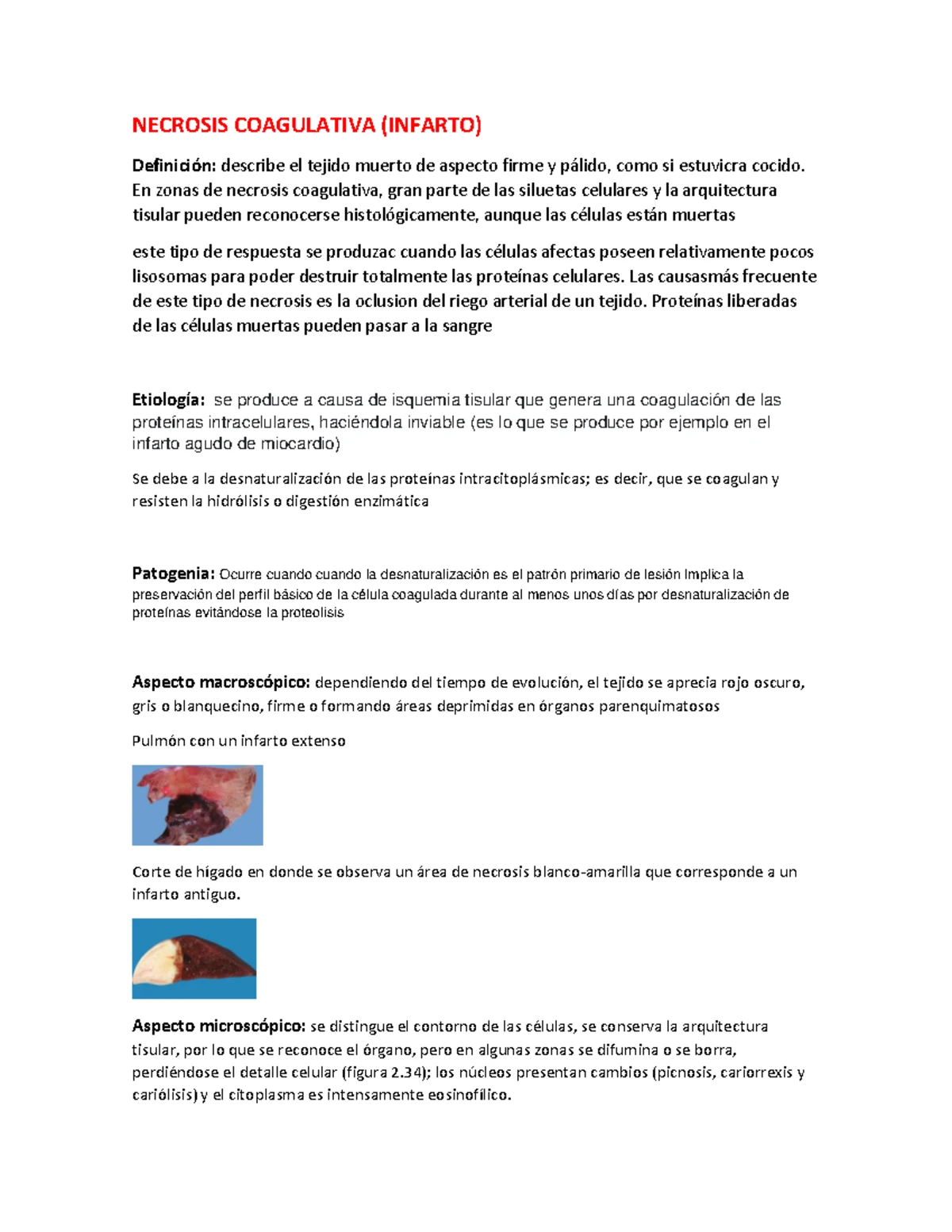 Tipos de Células: Lábiles, Estables y Permanentes - Biología 101 - Studocu