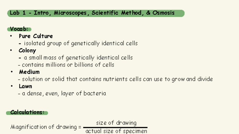 Lab 1-3 Quiz Review: Microscopes, Osmosis, and Scientific Method - Studocu