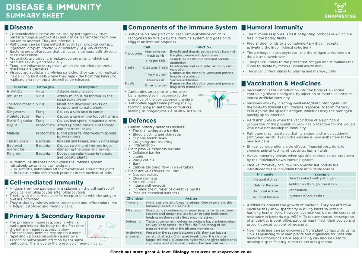 OCR A Level Biology Cheat Sheet: Disease Immunity, Genetics ...