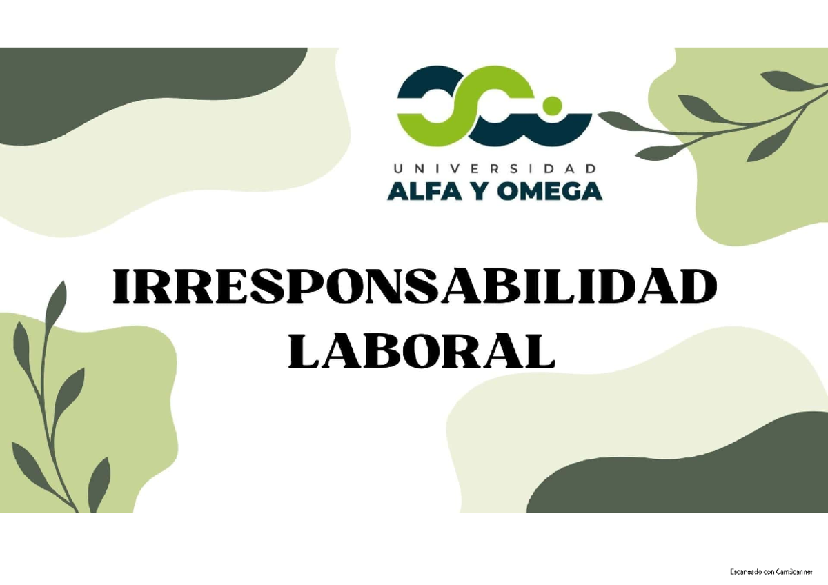 Proyecto de Investigación sobre Irresponsabilidad Laboral: Análisis y ...