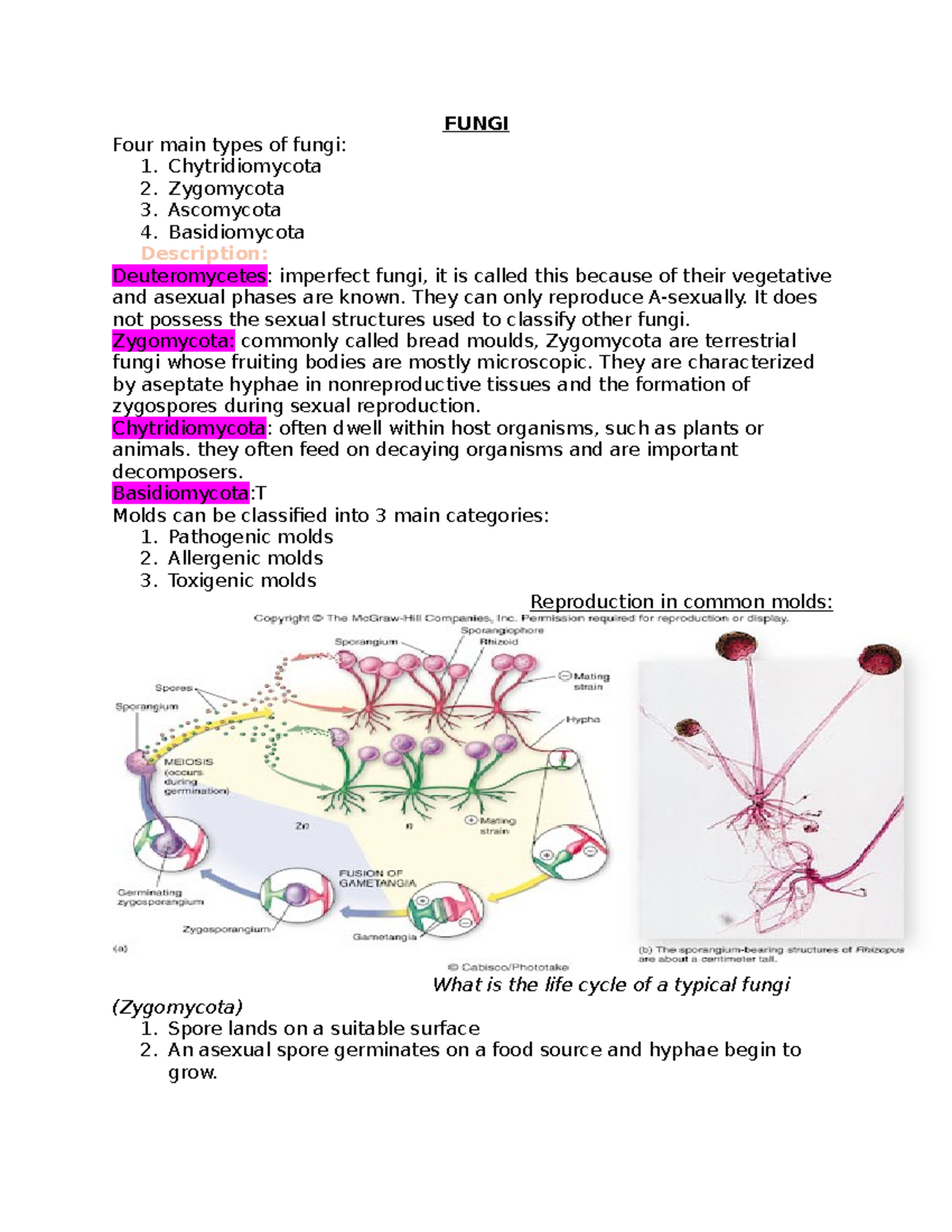 BIO Notes: Overview of Fungi Types and Reproduction - Studocu