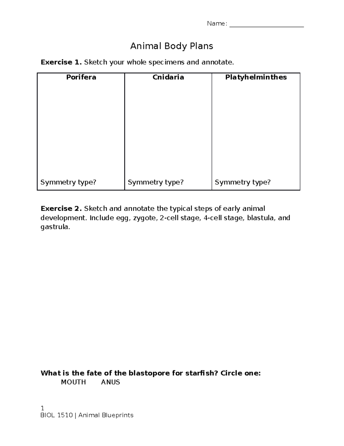 Animal Blueprints Worksheet - Name: ________________________ Animal ...