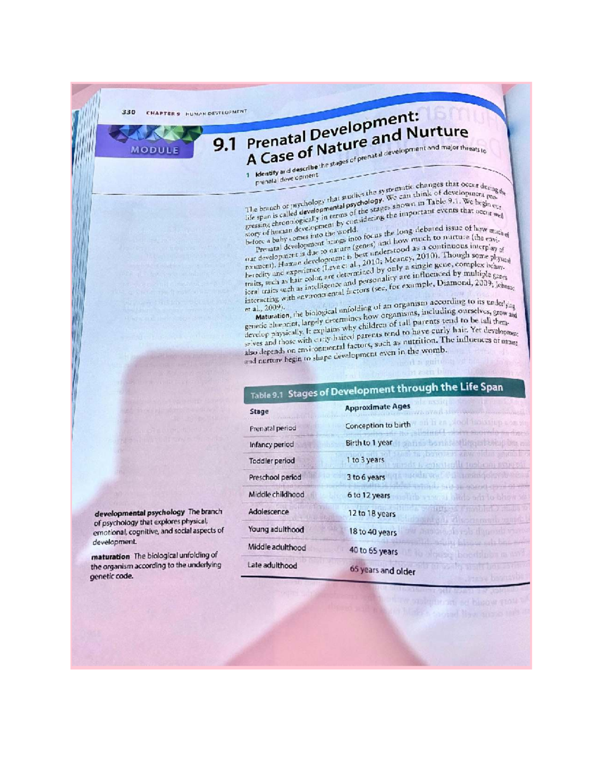 330 PSYCHOLOGY CHAPTER 9: HUMAN DEVELOPMENT - Prenatal Stages and Influences - Studocu