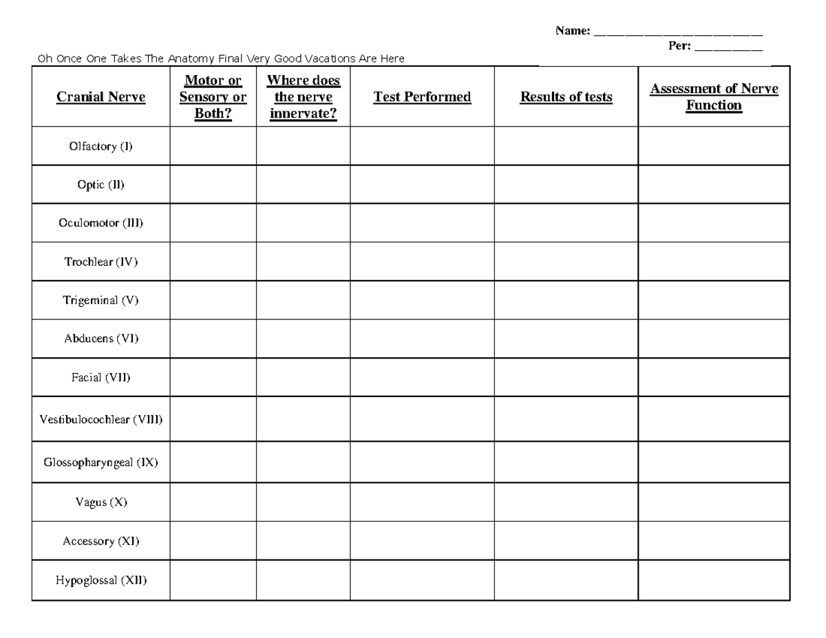 Cranial Nerve Lab I - Anatomy Final Exam Notes - Studocu