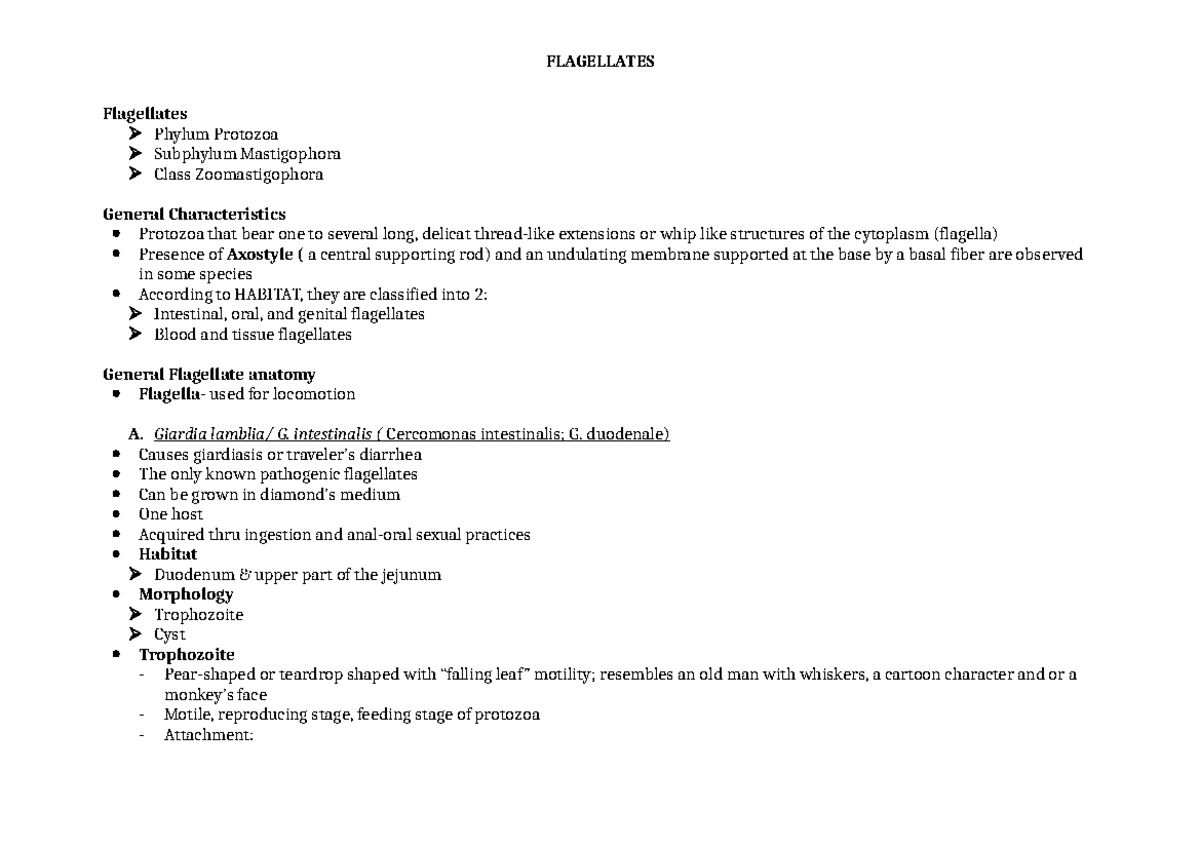 Flagellates Overview: Characteristics, Anatomy, and Pathogenicity in ...