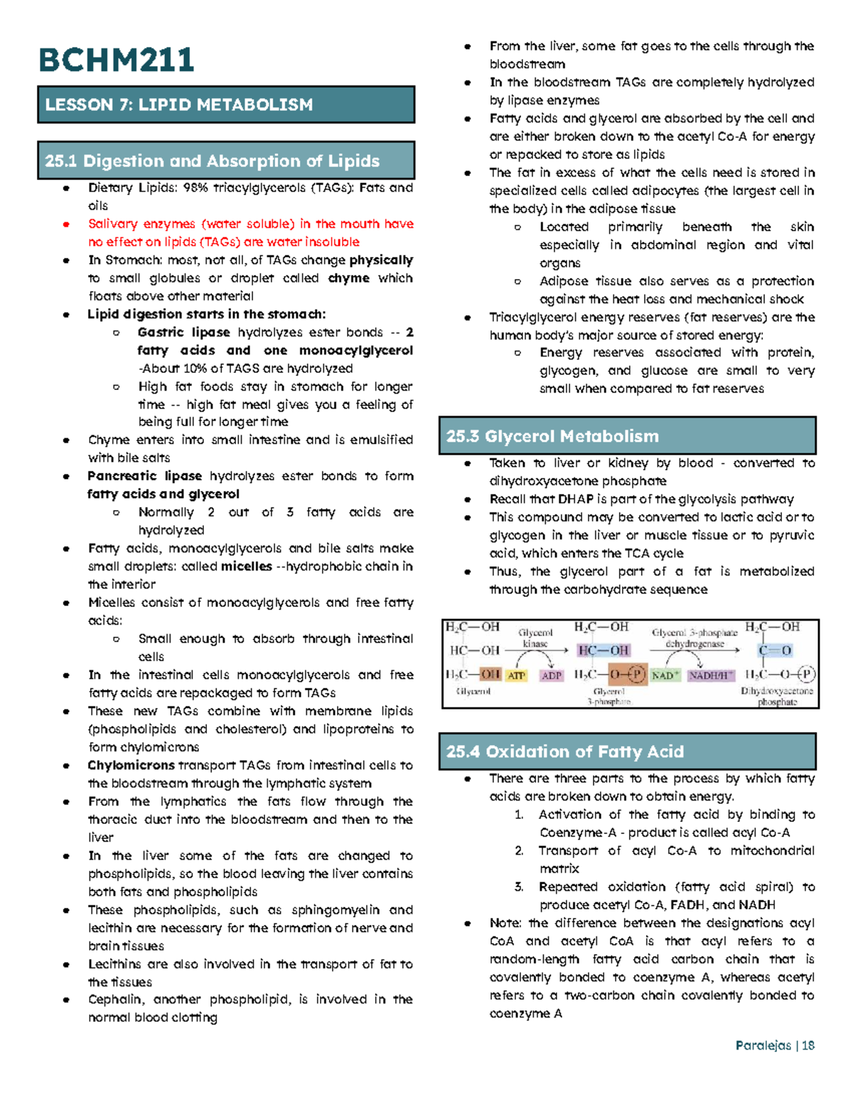 Biochem 211 Final Exam Study Notes: Lipid & Protein Metabolism - Studocu