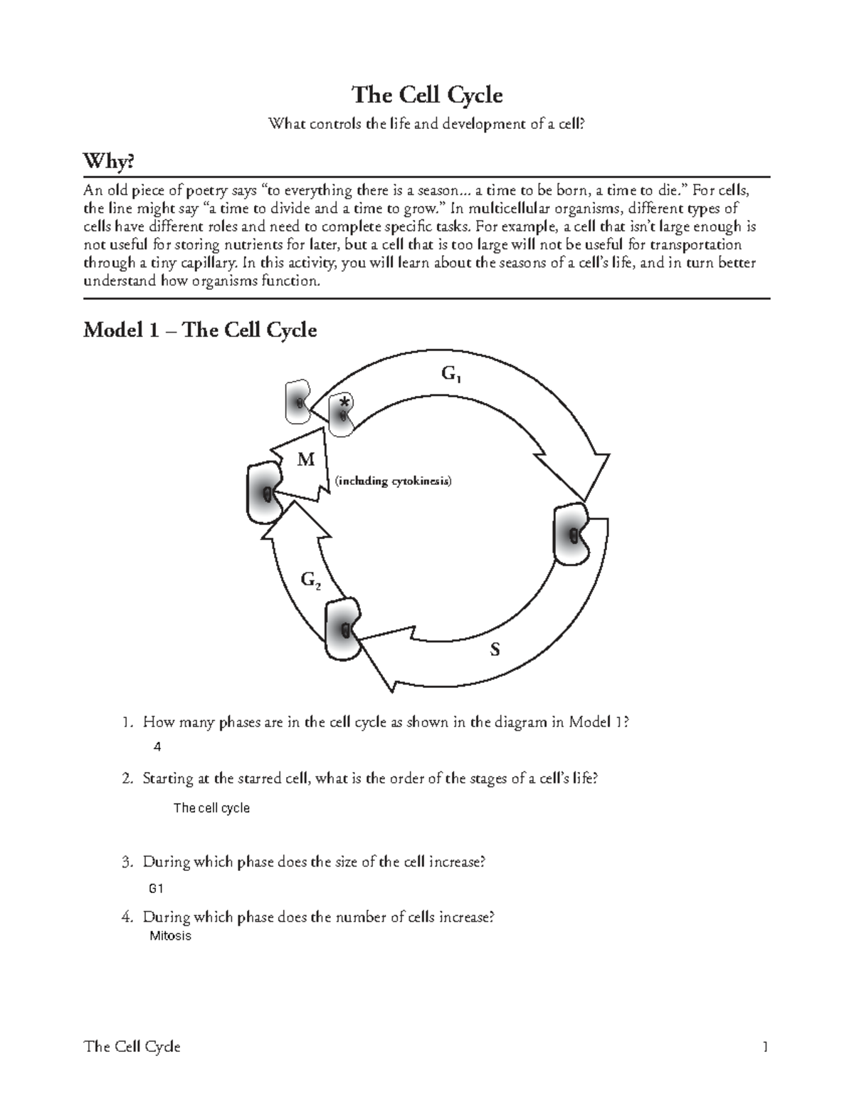 The Cell Cycle: Understanding Cell Growth and Division (BIO 15) - Studocu