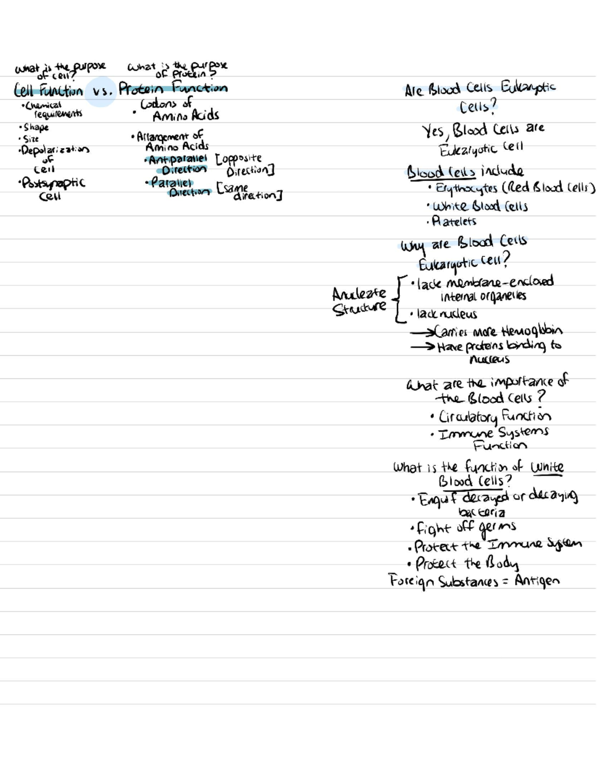 Cell Biology Textbook-61: Functions of Blood Cells and Proteins - Studocu