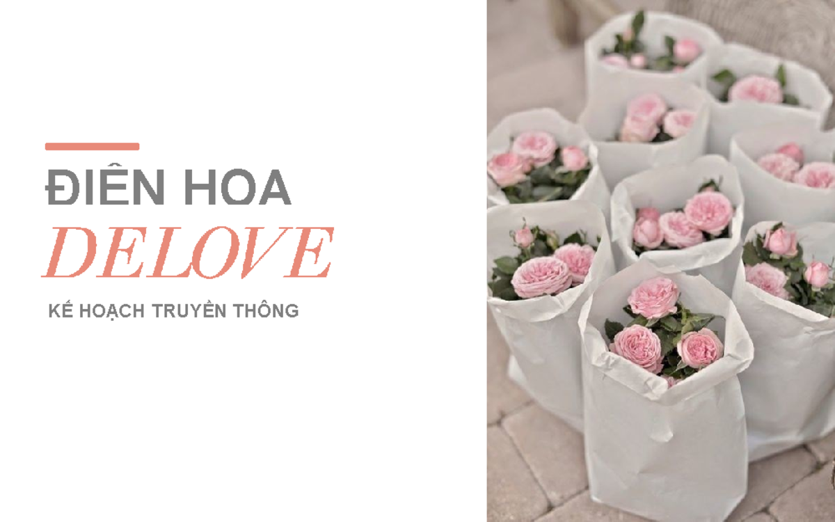 KHTT Delove 1 - Phân Tích Dịch Vụ Điện Hoa và Chiến Lược Truyền Thông ...