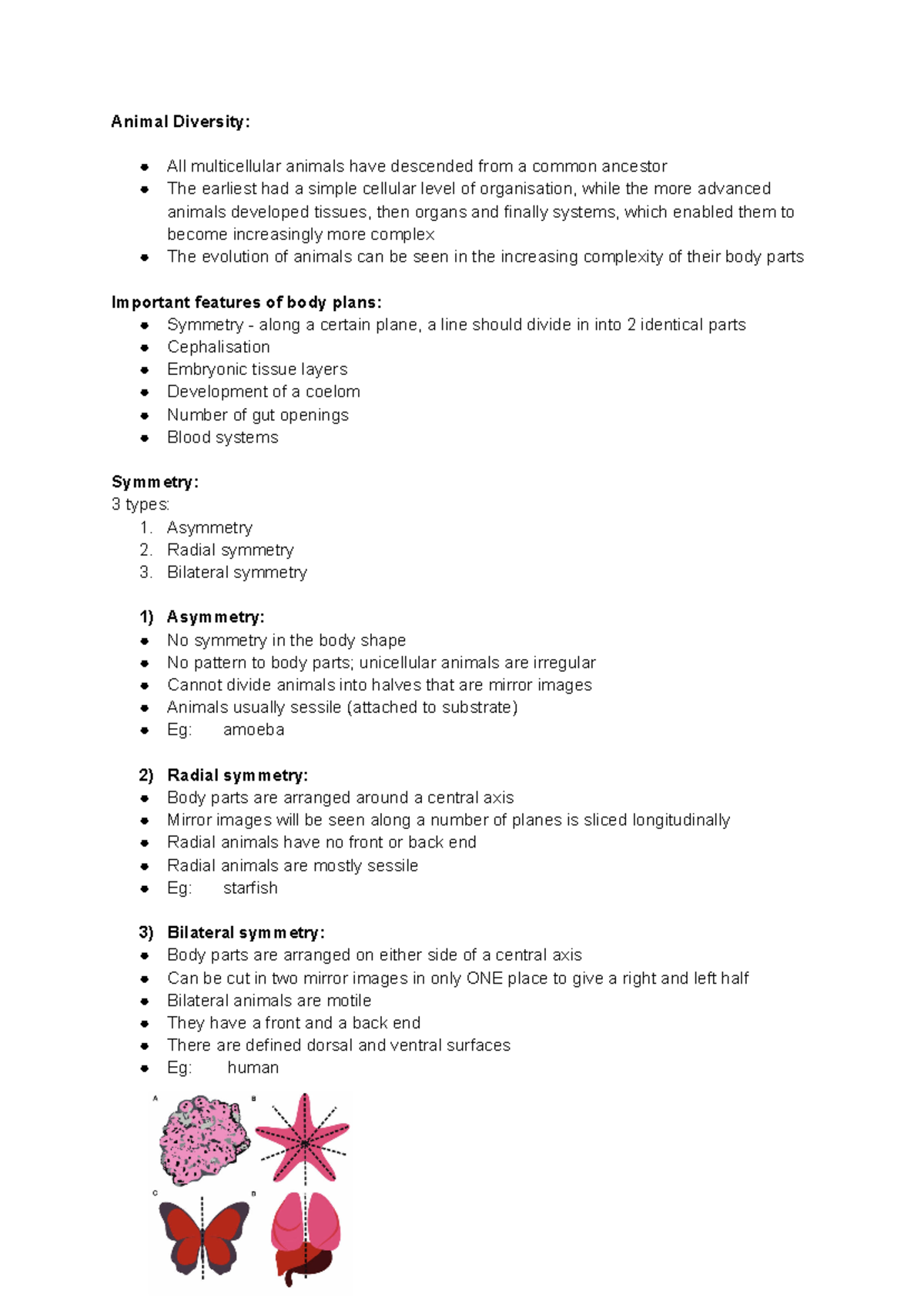 Life Sciences Animal Diversity Cheat Sheet – Grade 11 CAPS Curriculum ...