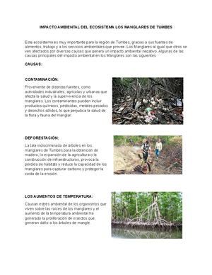 Ecosistema Bosque De Colina Baja-1 - Nombre: Actividad: Ronald Ynta ...
