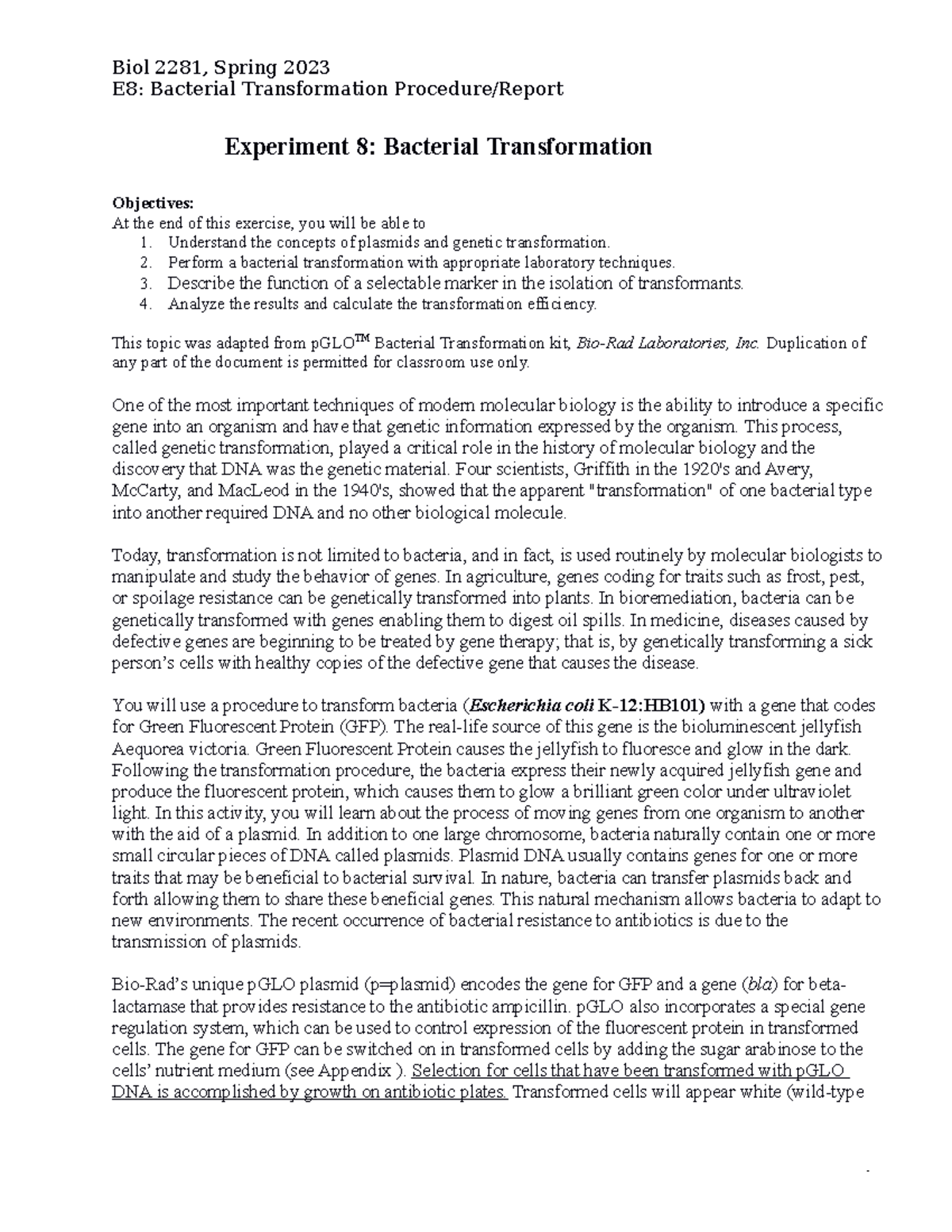 E8: Bacterial Transformation Procedure & Report S23 for Lab Practicum ...