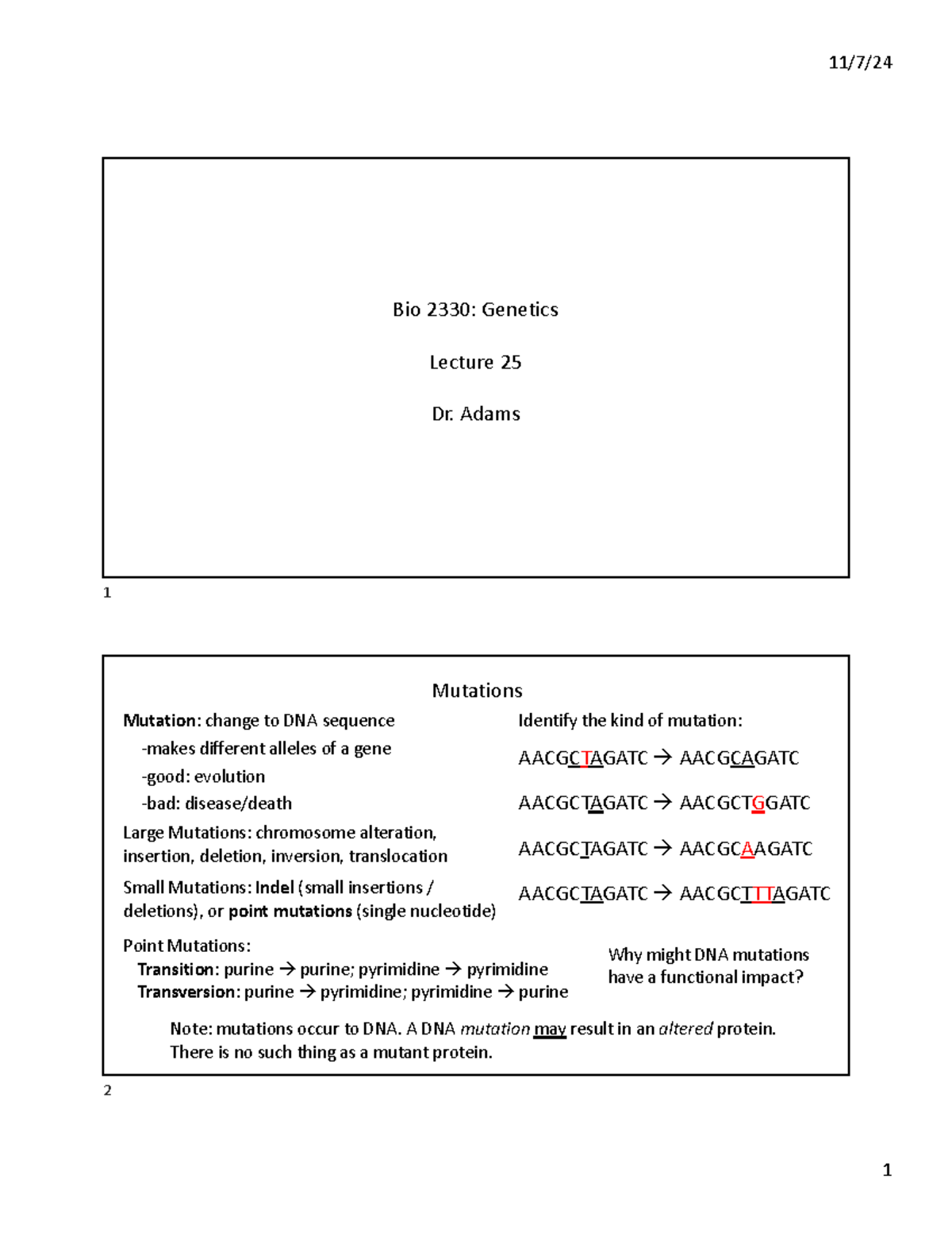 Genetics 2330: Lecture 25 - Understanding DNA Mutations and Effects - Bio 2330: Genetics Lecture ...