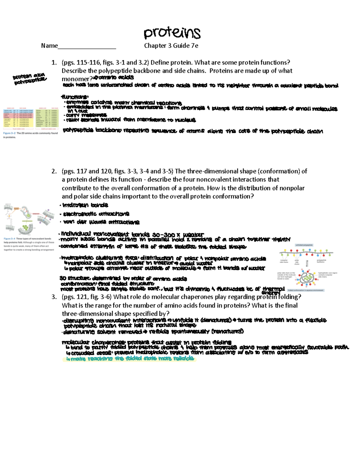 BIO333 Chapter 3 Guide - Name_________________ Chapter 3 Guide 7e 1 ...