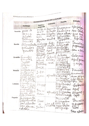 Tabla de los 4 tejidos básicos - MICHAEL MORILLO - 100554659 Tabla de ...