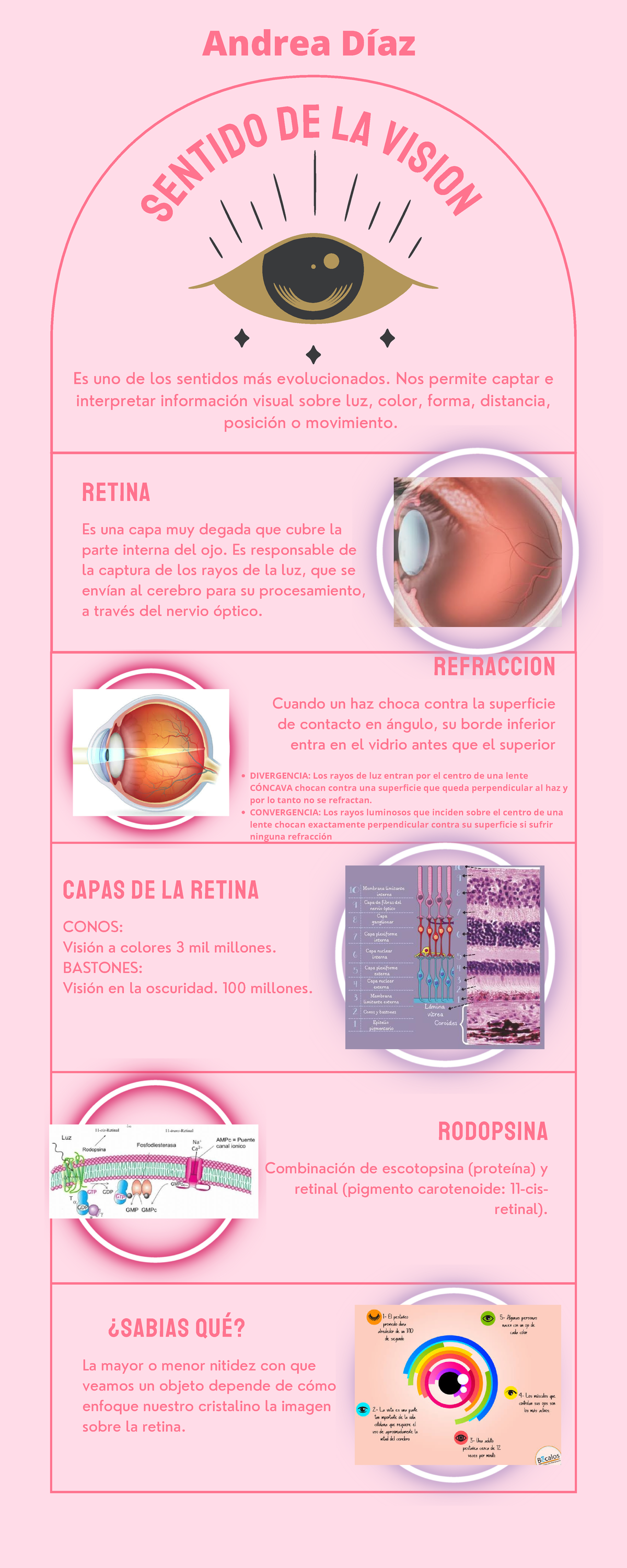 Sentido de la visión - ¿SABIAS QUÉ? La mayor o menor nitidez con que ...