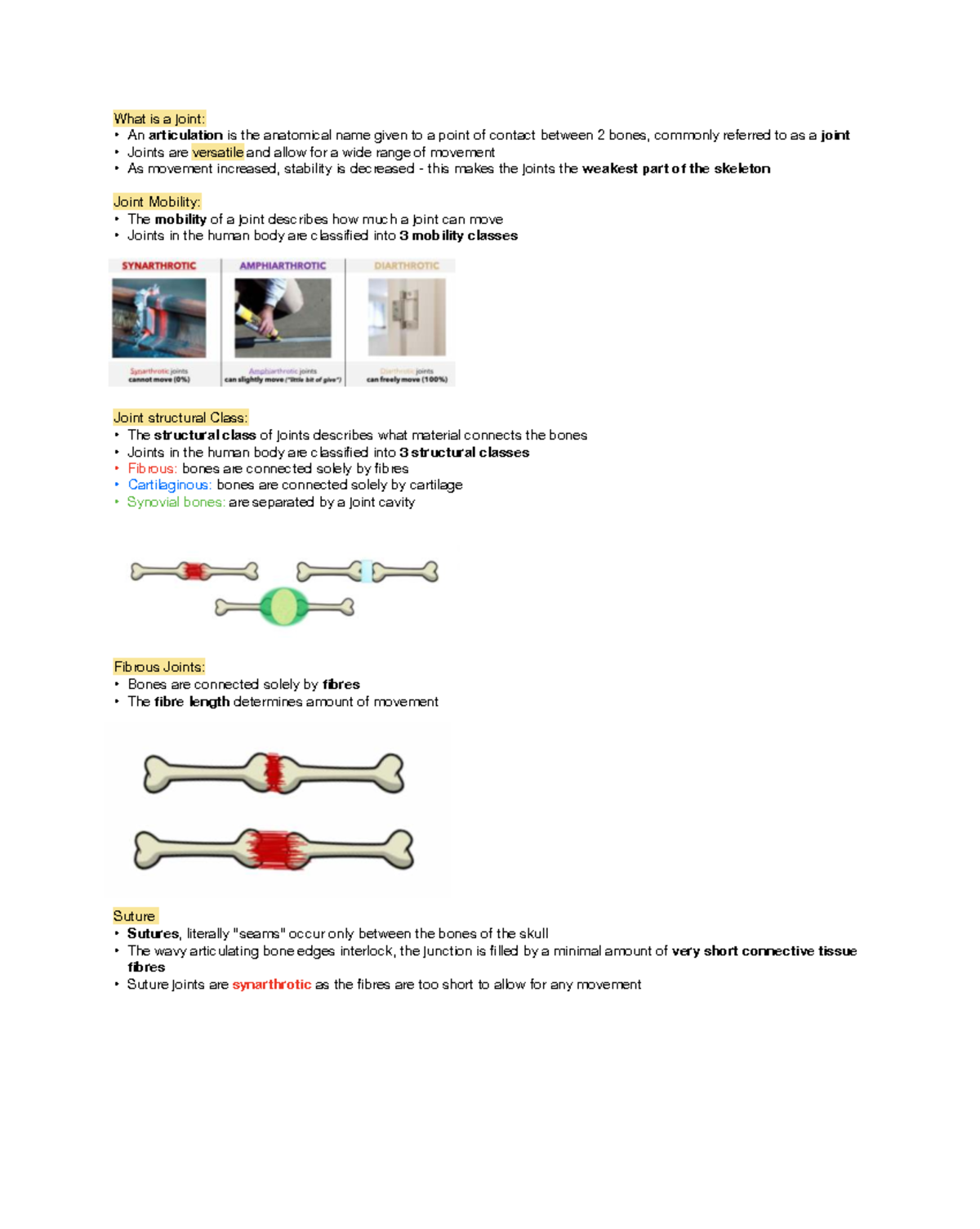 Joint Structure and Function: Understanding Mobility and Stability ...