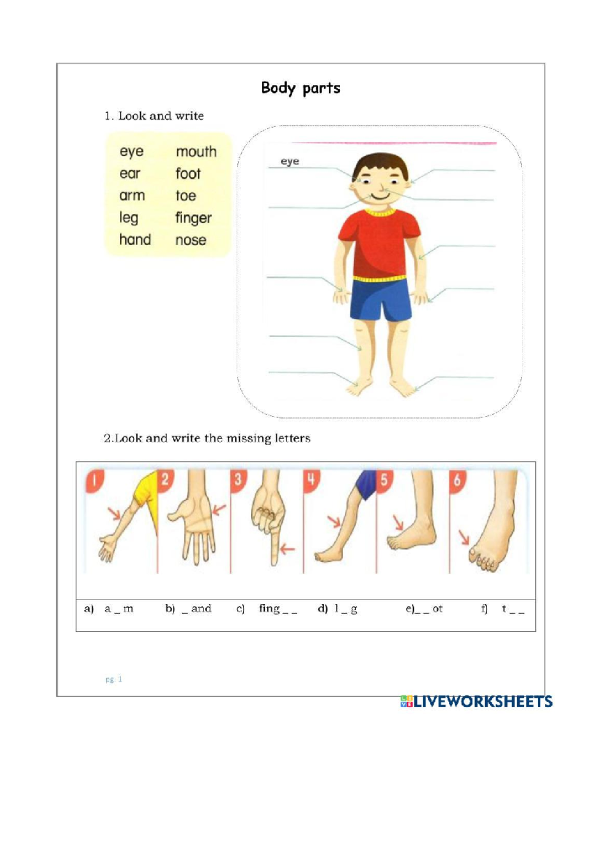 Body parts worksheet 7746958 - adaa for beginners - Studocu