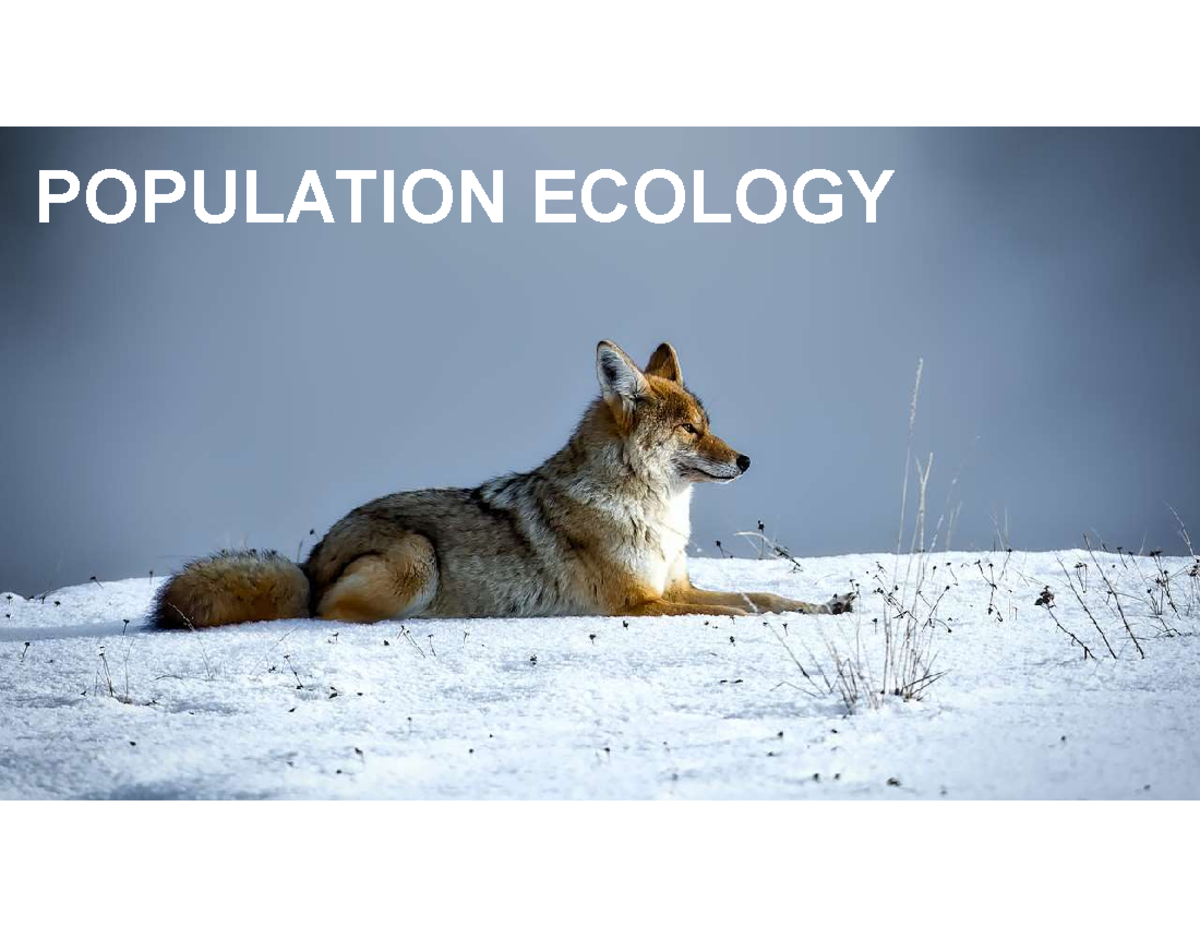 Population Ecology: Dynamics, Growth Models & Management Strategies ...