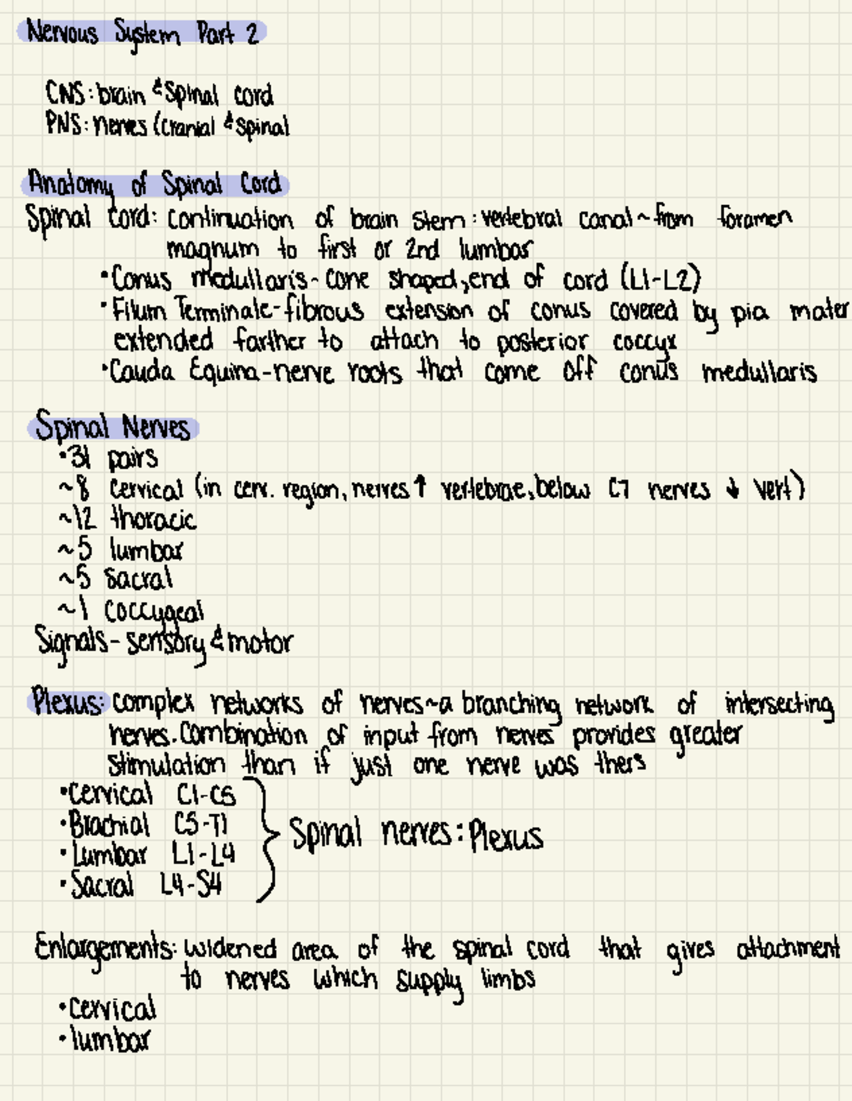 NS 2 (BIO-107L) - Nervous System notes, professor is Rokitika at D ...