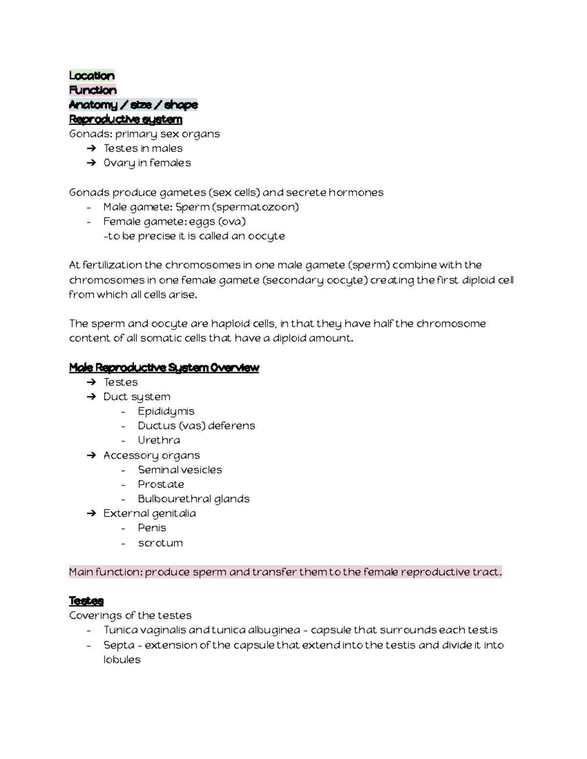 Reproductive System Overview - Lecture Notes (BIO 101) - Studocu