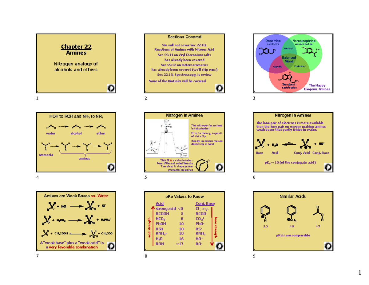 Chapter 22 Amines Overview and Key Concepts S24 - Final Exam Review ...