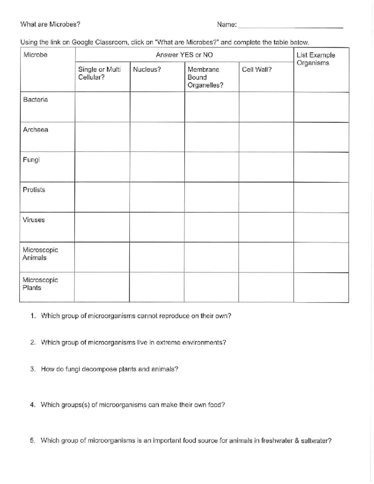 Microbe Packet (BIO 101): Understanding Microorganisms and Their Roles ...