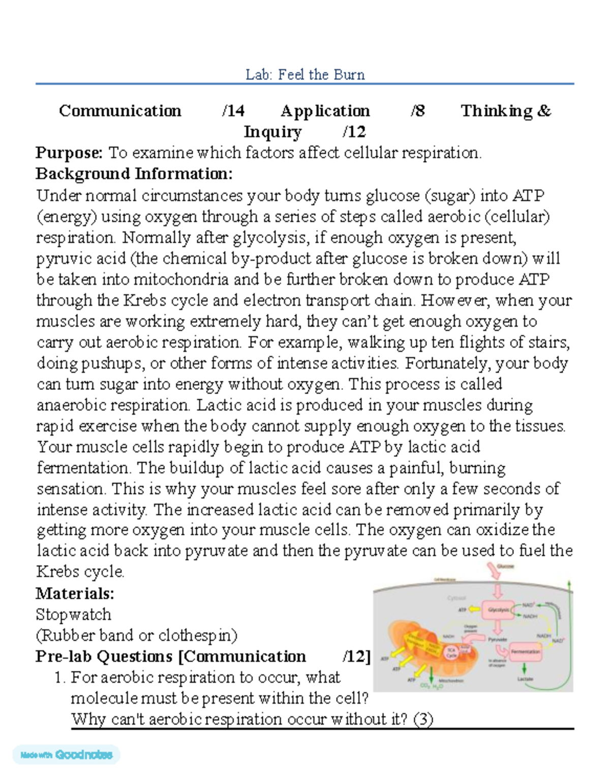 Biology 3 Lab: Factors Affecting Cellular Respiration and Muscle ...
