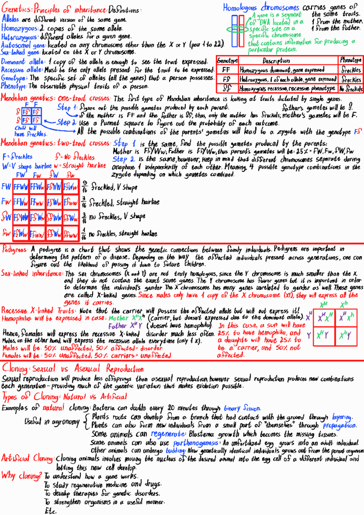 Lecture #4 Genetics - 105-003-RE - Studocu