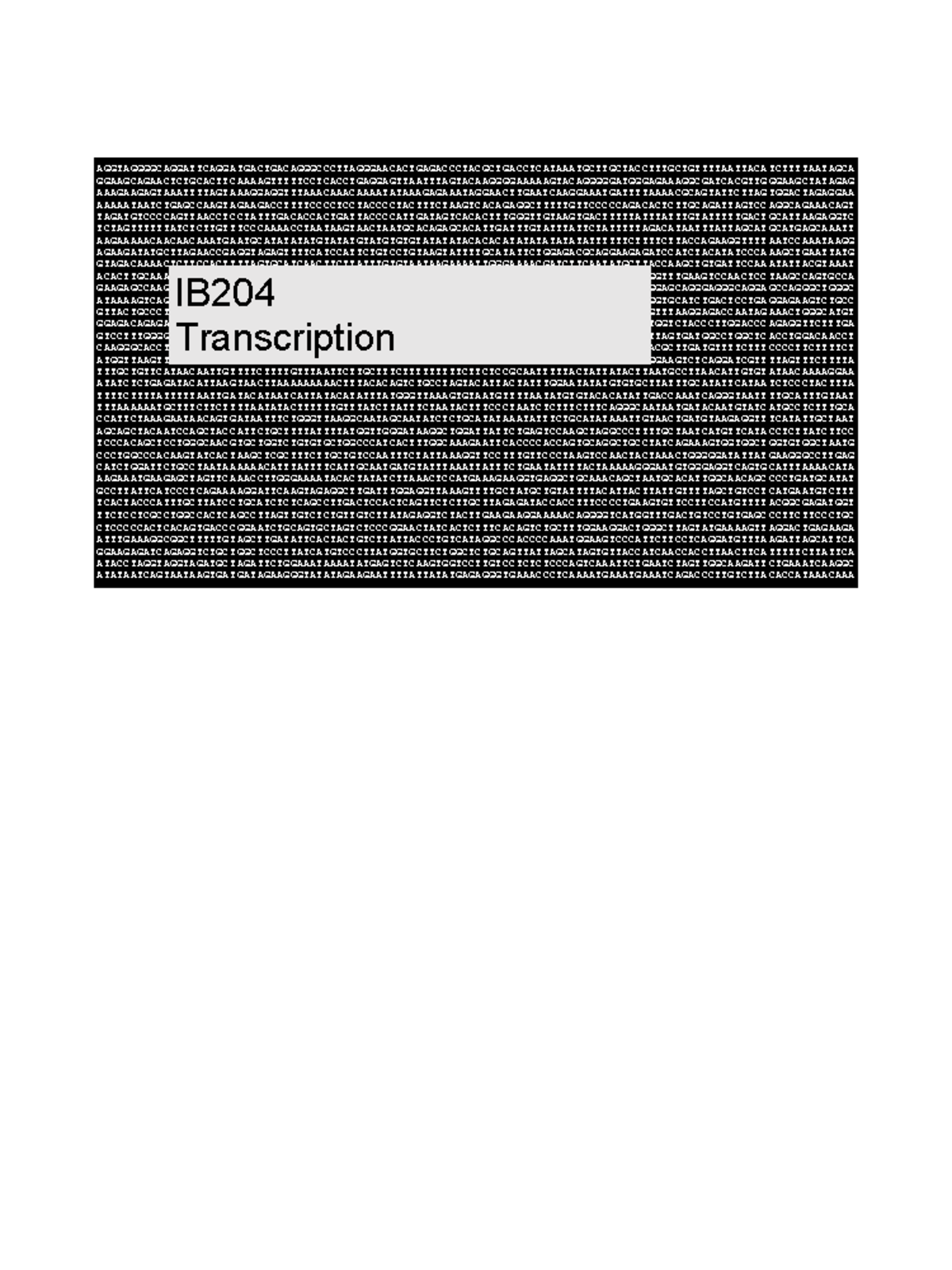 IB204 Developmental Genetics: Transcription Regulation Exam Guide - Studocu