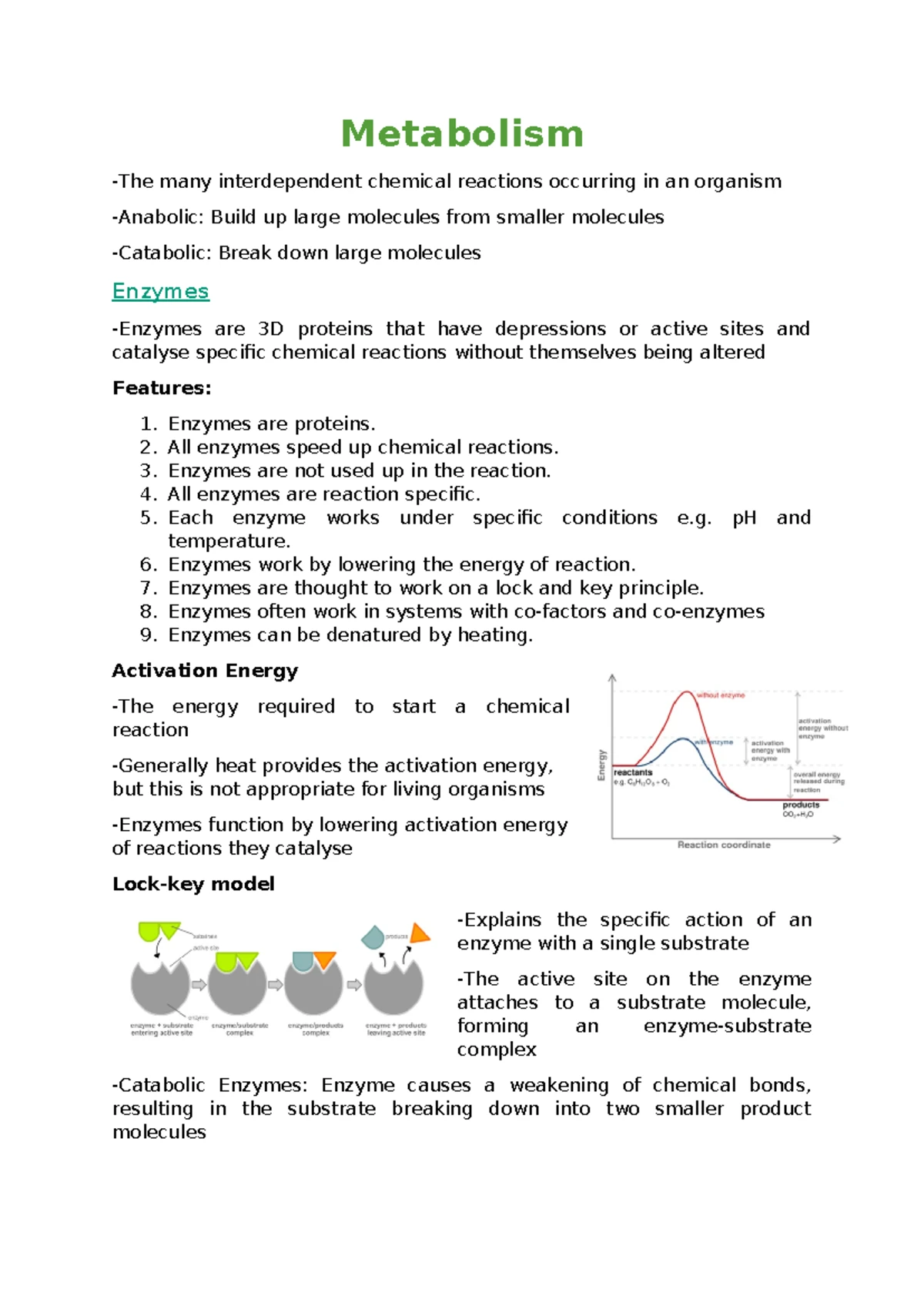 Year 11 Human Biology Unit 1: Metabolism, Enzymes, and Cellular ...