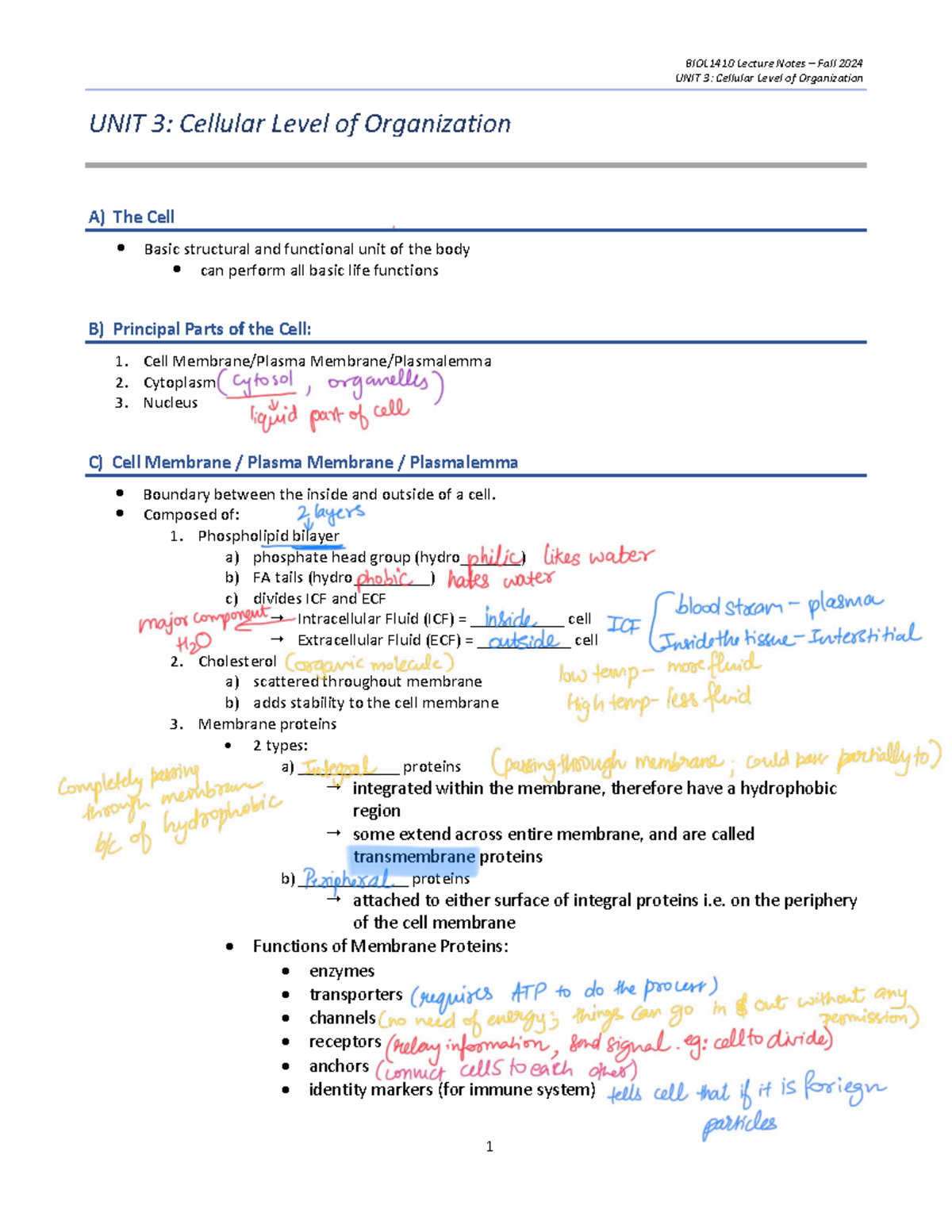 BIOL1410 Lecture Notes Fall 2024: UNIT 3 - Cellular Organization - Studocu
