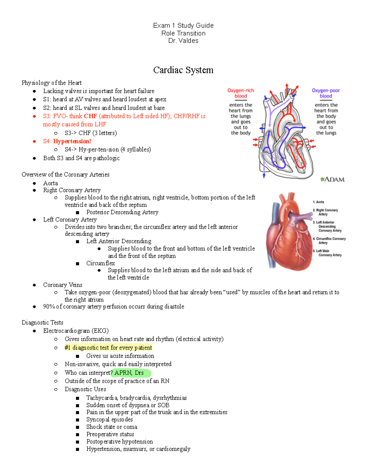 Exam 1 Study Guide - Role Transition and Cardiac System Assessment ...