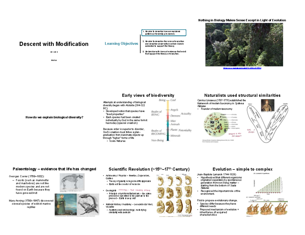 BISC120 Evolution: Understanding Fossil Record and Macroevolution - Studocu