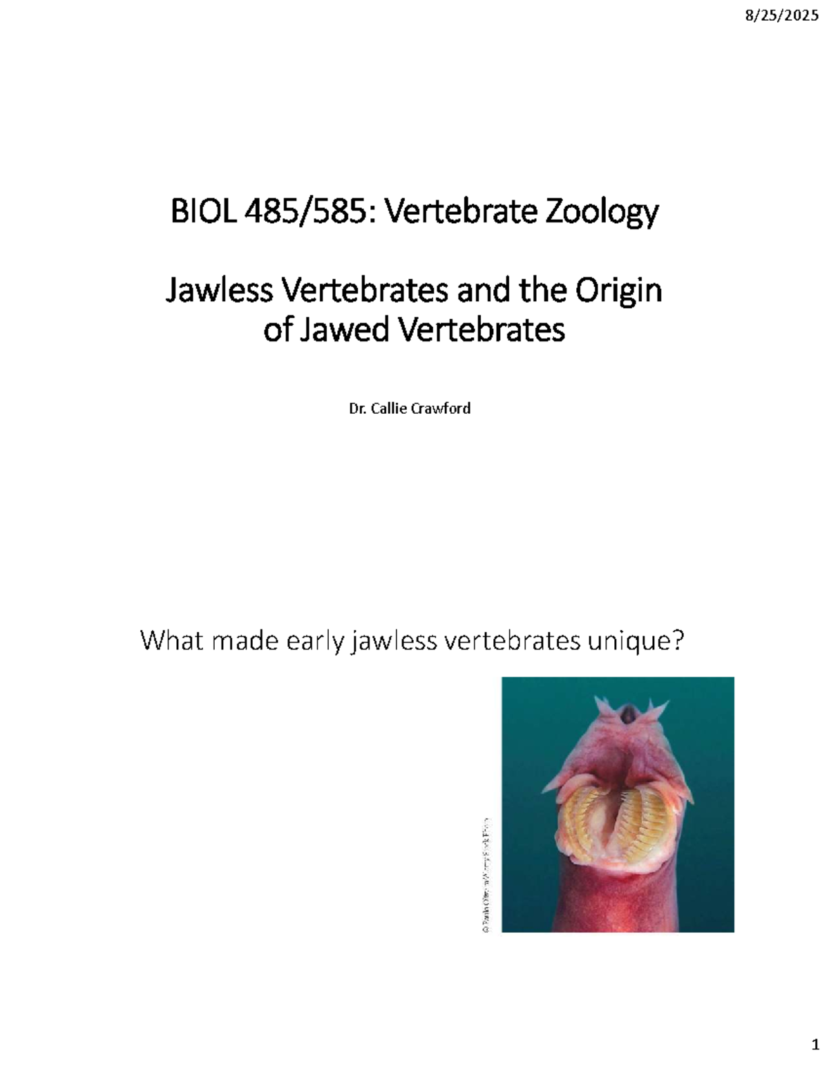 BIOL 485/585: Examining Jawless Vertebrates and Jaw Evolution - Studocu