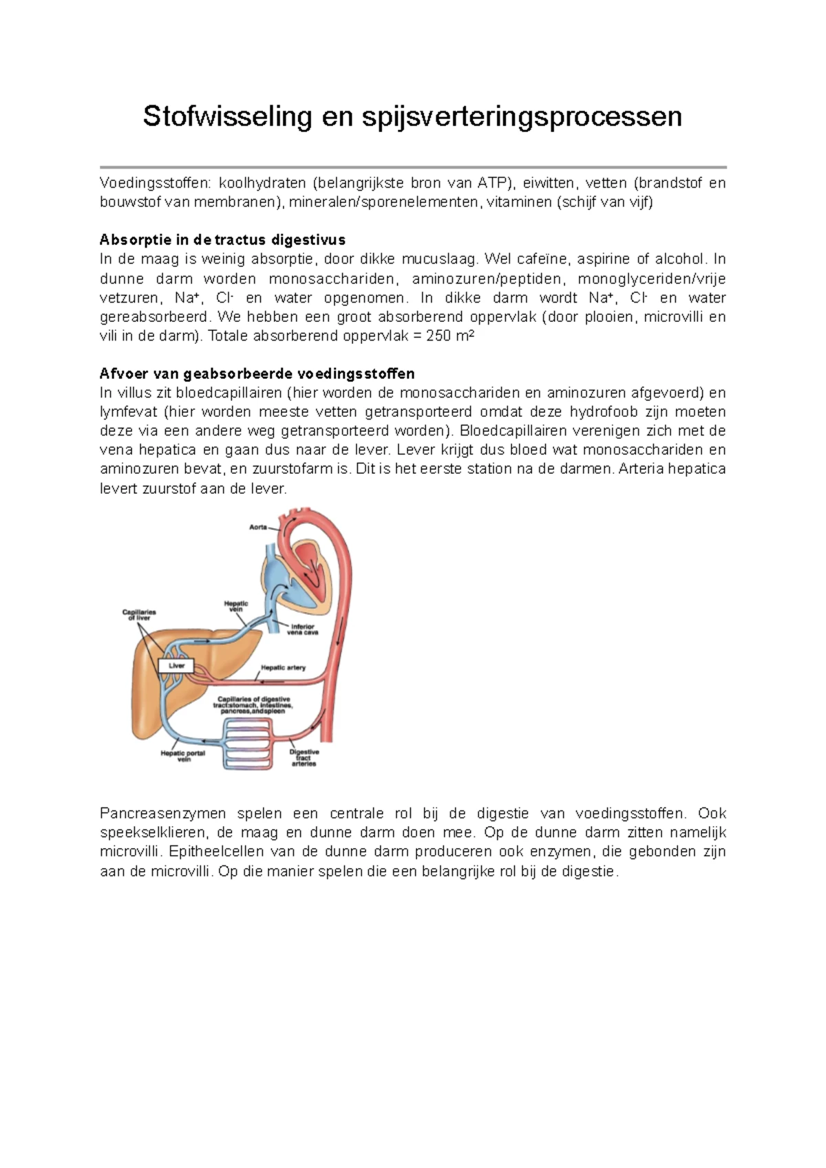 Thema 3 Genetica - Compleet Studietekst over Erfelijkheid en Genen ...