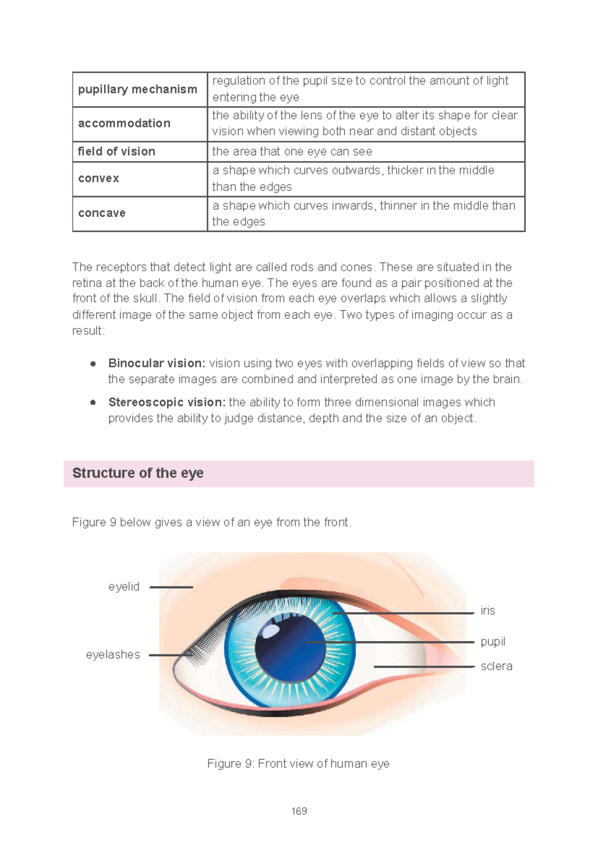 BIO GR12 EYES: Mechanisms of Pupil Regulation and Vision - Studocu