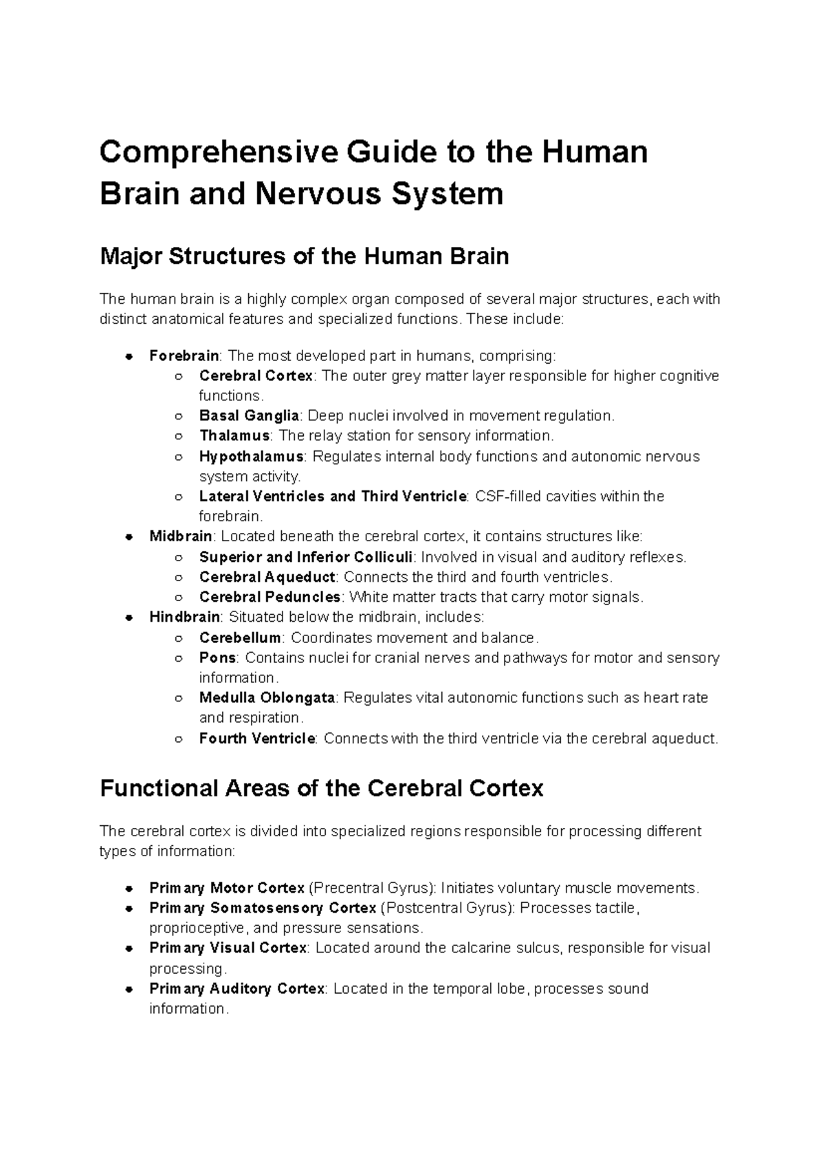 Comprehensive Study Guide on the Human Brain & Nervous System - Studocu