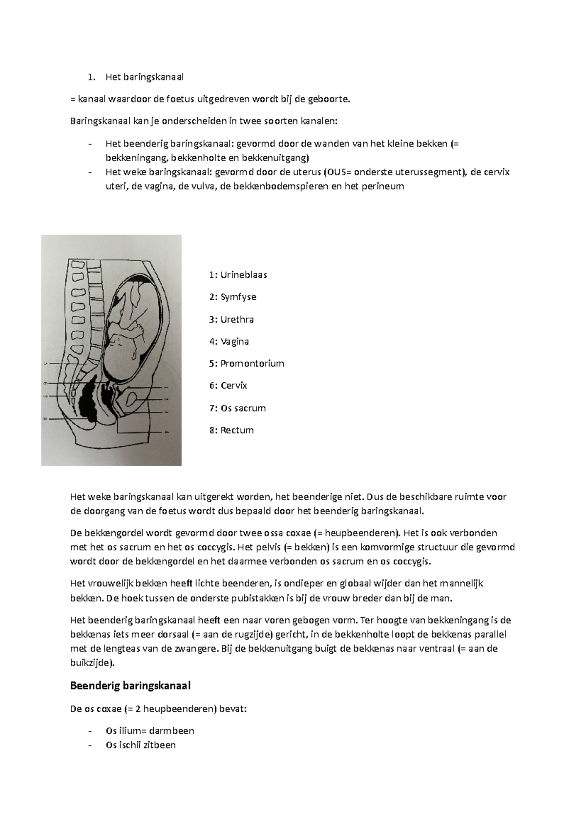 Fysiologische Baring: Samenvatting van Baringskanaal en Anatomie - Studocu