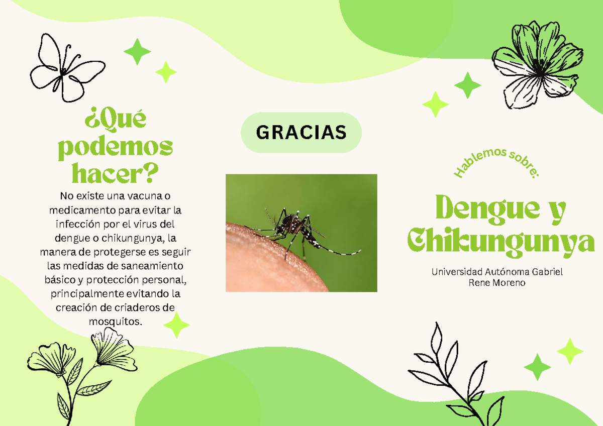 Folleto Tríptico sobre Prevención del Dengue y Chikungunya - Studocu