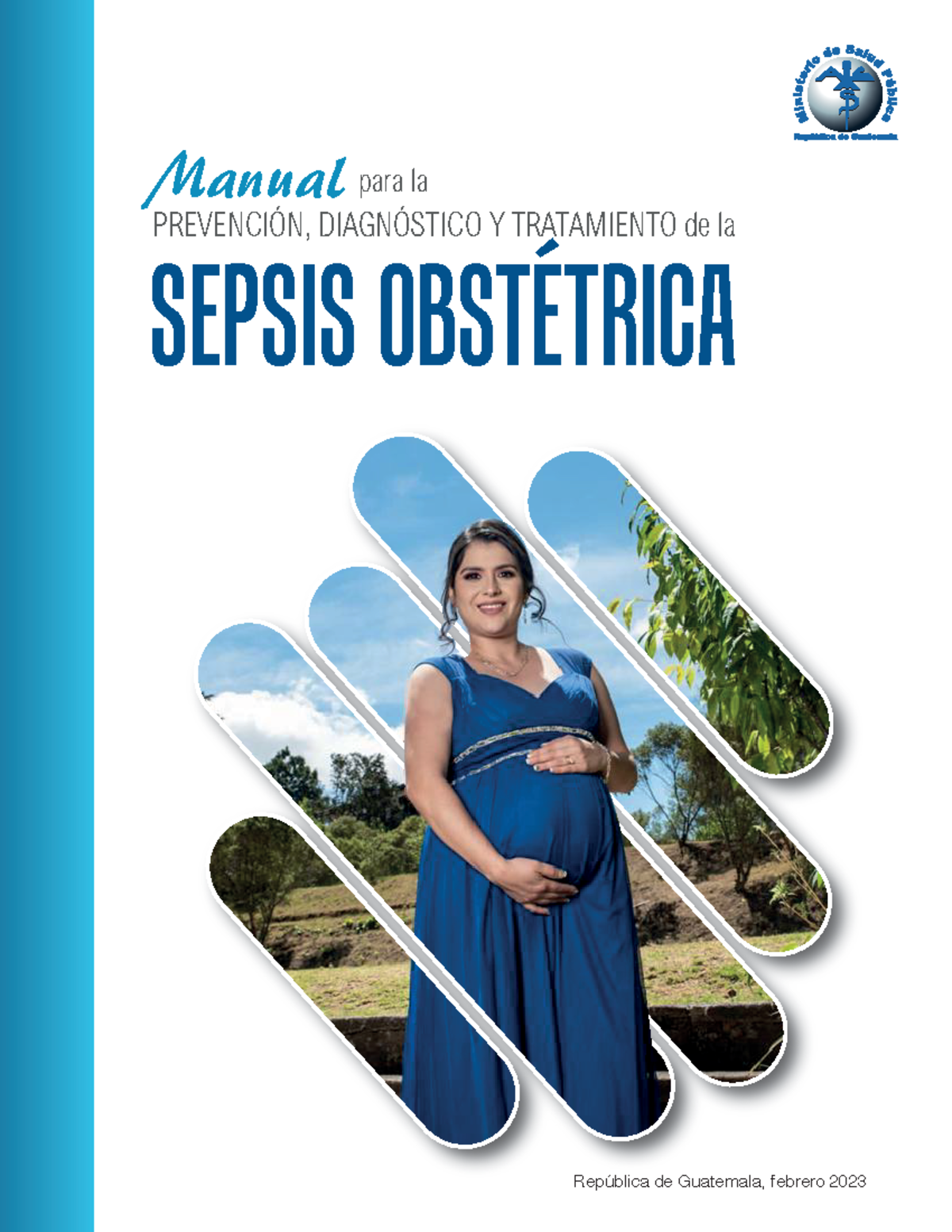 Manual de Sepsis Obstétrica: Prevención, Diagnóstico y Tratamiento ...