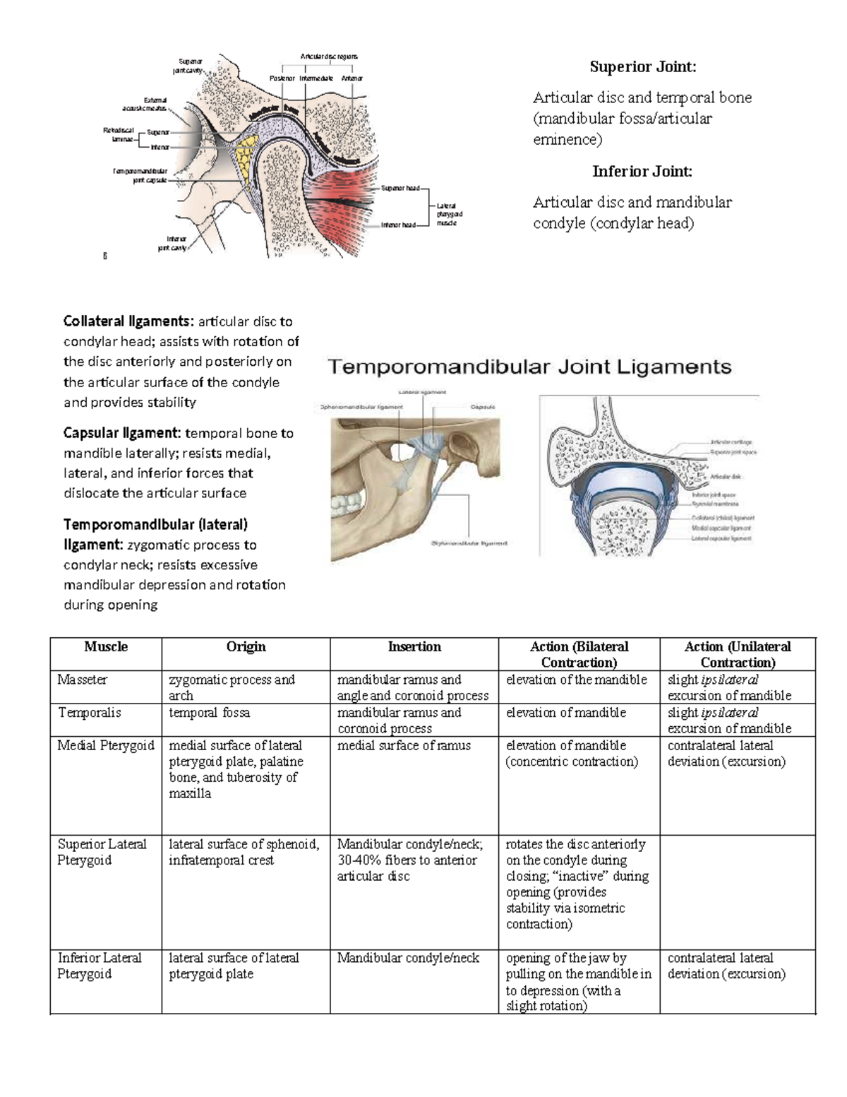 Normal Biomechanics of Mandibular Movement in TMJ Function (ANAT 101 ...