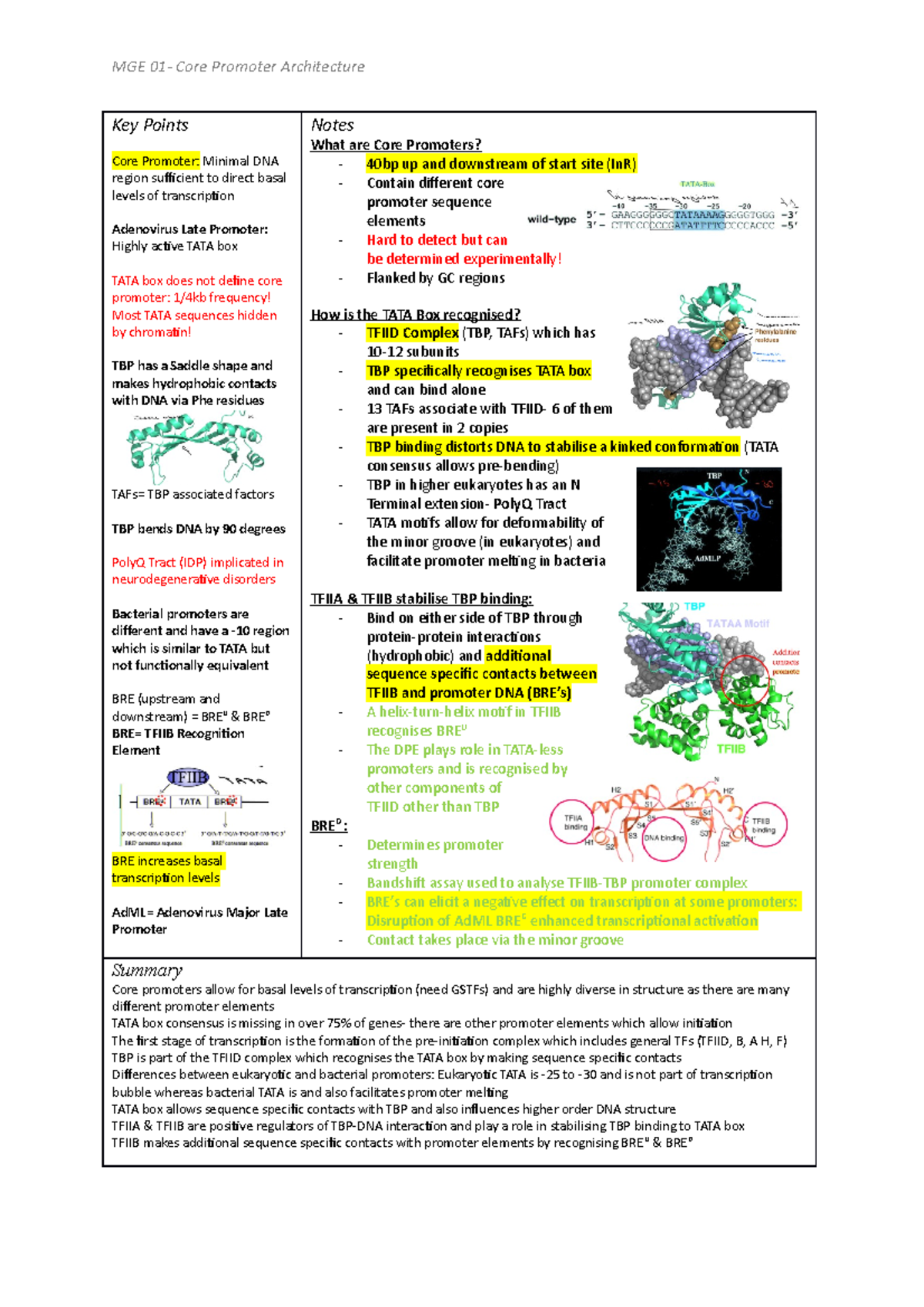 Promoter Recognition 1 - MGE 01- Core Promoter Architecture Key Points ...